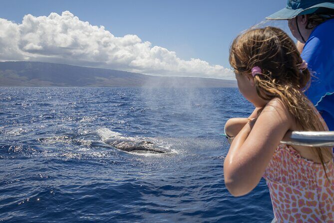 Morning Whale Watching Tour in Maui with Continental Breakfast - The Breakfast: A Tasty Addition