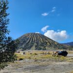 Mount Bromo Private Day Tour Experience Crater and Sunset Viewing - The Value of This Tour