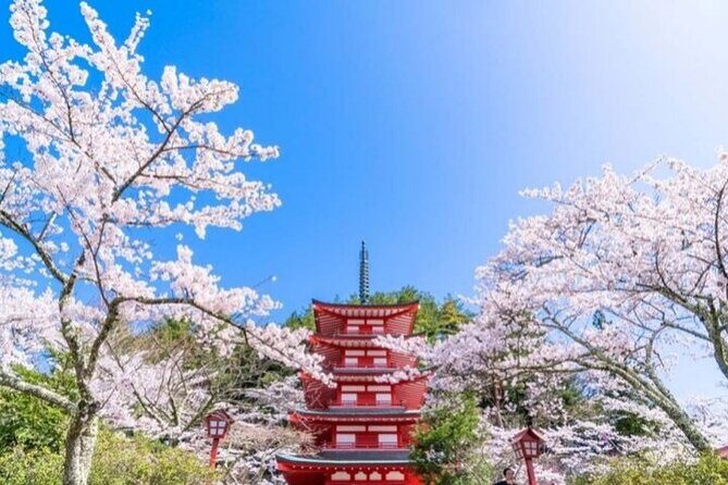 Mount Fuji 5th Station, Arakurayama, Oshino Hakkai and Hot Spring - Practicalities and What You Need to Know