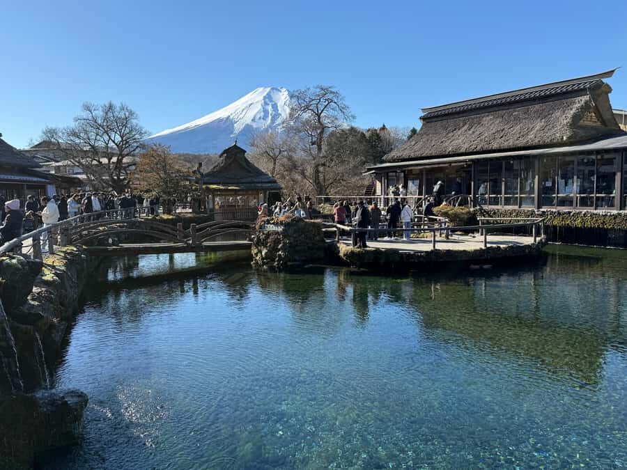 Mount Fuji Adventures Private English Customized Tour - An In-Depth Look at the Tour Experience