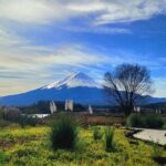 Mount fuji and Hakone Full day private sightseeing tour - Practical Details and Value