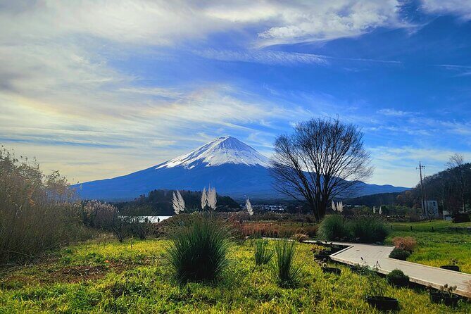 Mount fuji and Hakone Full day private sightseeing tour - Practical Details and Value