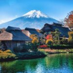 Mount Fuji and Hakone Private day trip from Tokyo - Who Is This Tour Best Suited For?