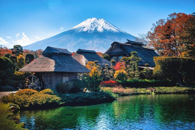 Mount Fuji and Hakone Private day trip from Tokyo - Who Is This Tour Best Suited For?
