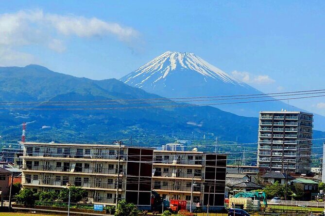 Mount Fuji and Hakone Private Tour with English Speaking Guide - Authentic Experiences and Practicalities