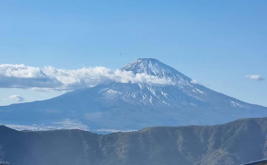 Mount Fuji and Hakone Trip with Spanish-Speaking Guide - Who Is This Tour Best For?