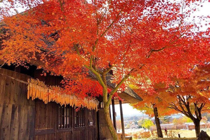 Mount Fuji and Iconic Scenic Spots Day Tour - The Guide’s Role: Knowledge and Narratives