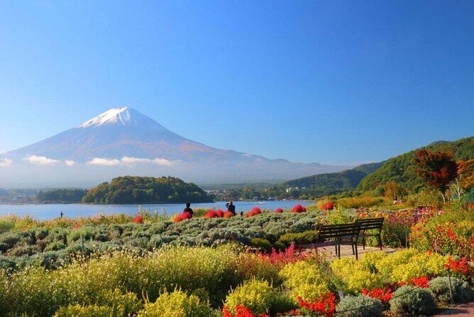 Mount Fuji Customize Private Day Trip with Driver From Tokyo. - Who Will Love This Tour?