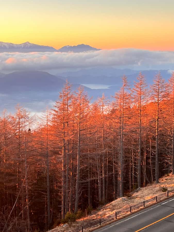 Mount Fuji Full-Day Private Tour from Tokyo (Customizable) - Oishi Park and Scenic Drive