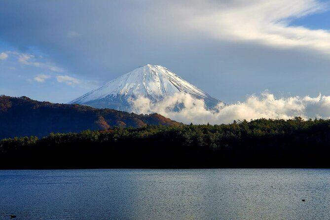 Mount Fuji Full-Day Private Tour from Yokohama Port Customizable - Transportation, Timing, and Group Size