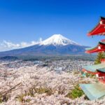 Mount Fuji & Hakone: 1-Day Private Van Tour with Hotel Pick-Up - A Thorough Breakdown of the Itinerary and Experience