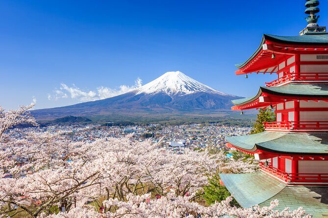 Mount Fuji & Hakone: 1-Day Private Van Tour with Hotel Pick-Up - A Thorough Breakdown of the Itinerary and Experience
