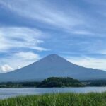 Mount Fuji & Hakone Private Tour with Cherry Blossoms - Why This Tour Offers Great Value