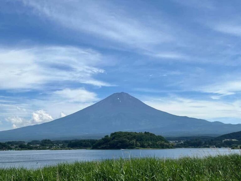 Mount Fuji & Hakone Private Tour with Cherry Blossoms - Why This Tour Offers Great Value