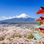 Mount Fuji Kawagoe and Hikawa Shrine Day Trip - Who Will Love This Tour?