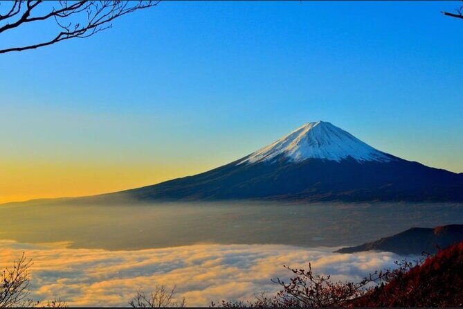Mount Fuji & Lake Kawaguchi Day Trip with English-speaking Driver - Pricing and Value