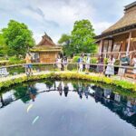 Mount Fuji, Oshino Hakkaiand,Hakone Ropeway Bus Tour Experience - Transportation & Group Dynamics