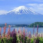 Mount Fuji Panoramic Day Trip from Tokyo - FAQ about the Mount Fuji Panoramic Day Trip