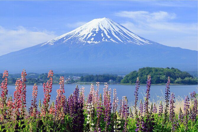 Mount Fuji Panoramic Day Trip from Tokyo - FAQ about the Mount Fuji Panoramic Day Trip