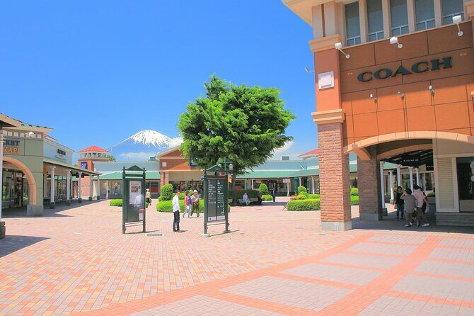 Mount Fuji Panoramic View and Shopping Day Tour - Who Should Consider This Tour?