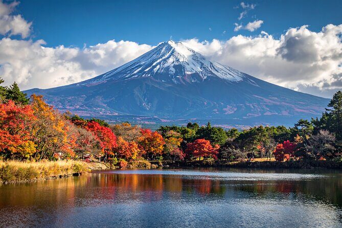 Mount Fuji Private Custom Tour with Local English Speaking Guide - What Travelers Say