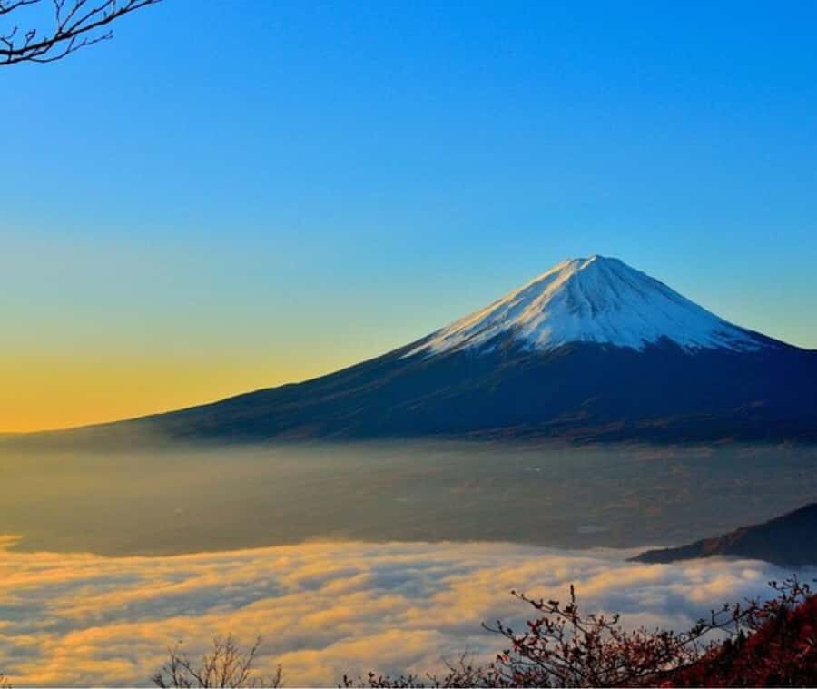 Mount Fuji Private Day Tour customized with English driver - The Itinerary: A Well-Curated Mix of Scenic & Cultural Spots
