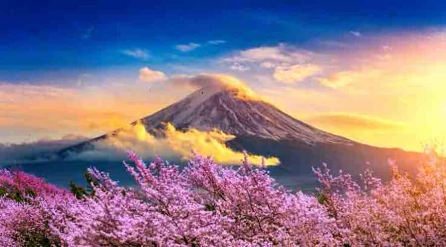 Mount Fuji Private Day Tour with English speaking Guide - What Travelers Say