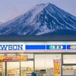 Mount Fuji Private tour with Guide - Reviews and Feedback: What Travelers Say