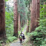 Mount Haguro E-Bike Sightseeing Tour in Yamagata, Japan - Who Should Consider This Tour?