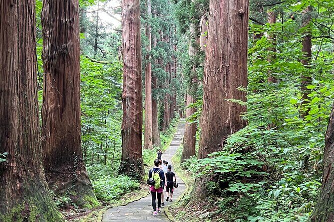 Mount Haguro E-Bike Sightseeing Tour in Yamagata, Japan - Who Should Consider This Tour?
