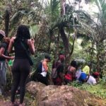 Mount Liamuiga Volcano Hike St Kitts Highest peak - Final Thoughts: Is It Right for You?