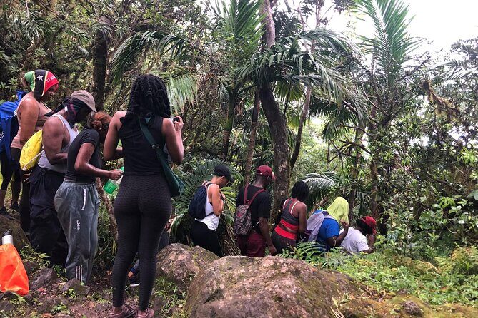 Mount Liamuiga Volcano Hike St Kitts Highest peak - Final Thoughts: Is It Right for You?