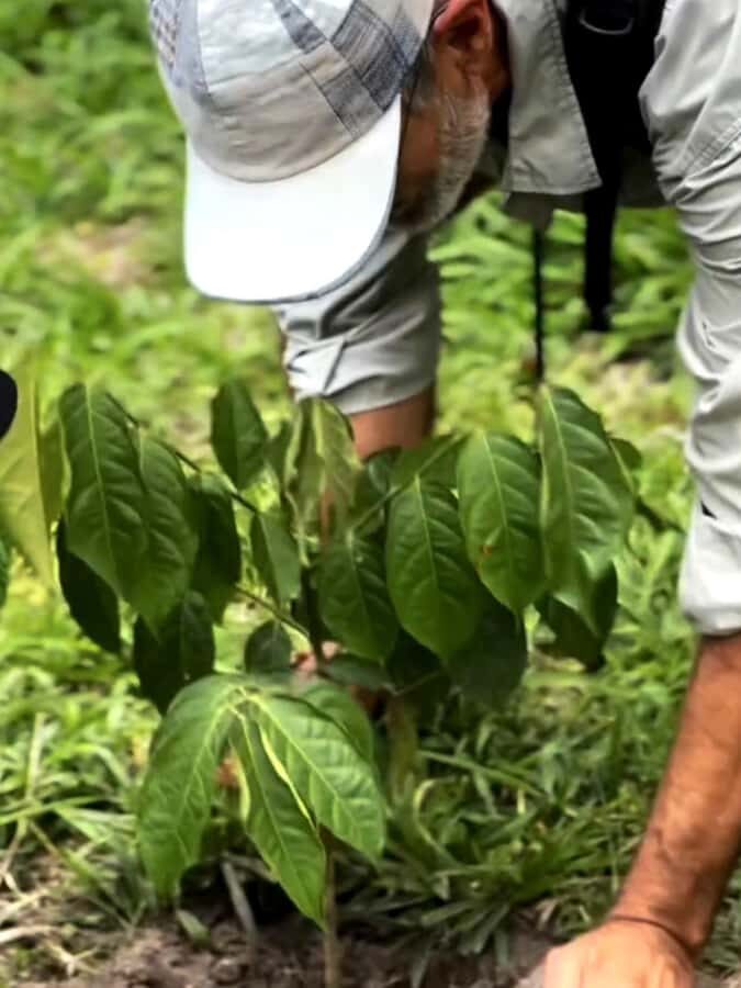 Mount Merapi Soft Trekking With Forest Conservation Tour - What Travelers Are Saying