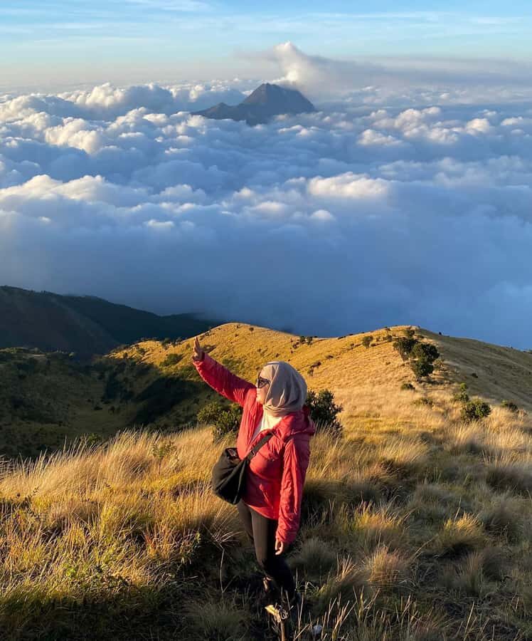 Mount Merbabu Edelweiss & Savanna Views tour from Yogyakarta - What to Expect from the Tour