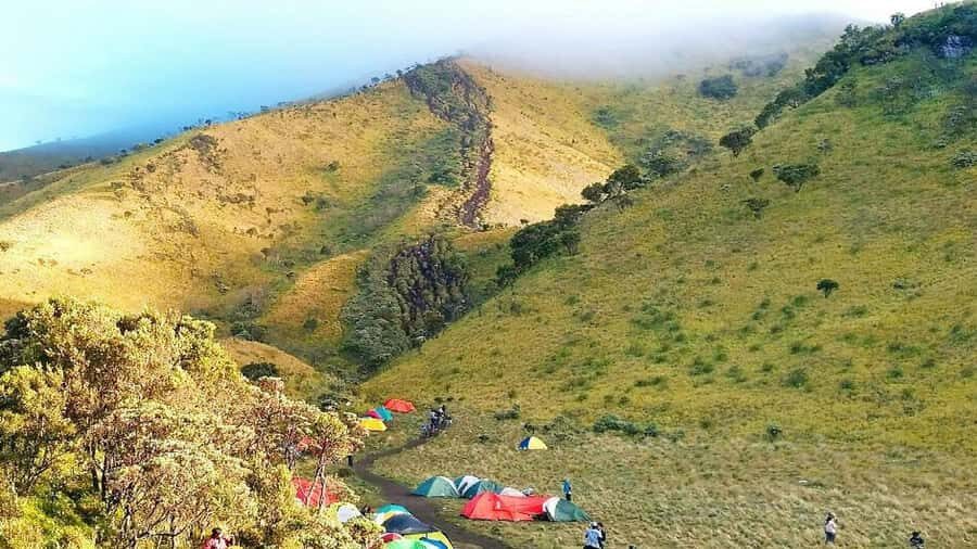 Mount Merbabu: Hiking and Camping Adventure - Who Should Consider This Tour?