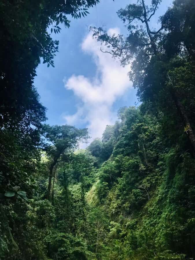 Mount Rinjani 2day and 1night Via Senaru Crater Rim - What Makes This Trek Special?