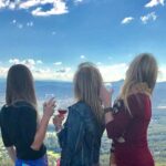 Mount Tamborine Wine Tasting Tour from Brisbane or the Gold Coast - Why This Tour Is a Sound Choice