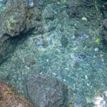 Mountain Bike tour to a Pristine Spring and Cave - What Travelers Are Saying