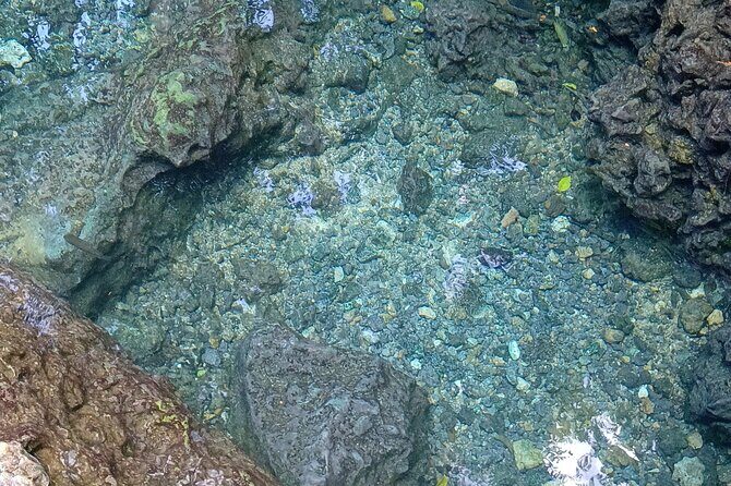 Mountain Bike tour to a Pristine Spring and Cave - What Travelers Are Saying