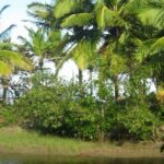 mountain horse back riding - Who Is This Tour Best Suited For?