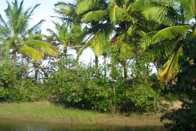 mountain horse back riding - Who Is This Tour Best Suited For?