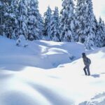 Mountain Snowshoeing & Photography - What Makes This Tour Stand Out