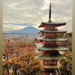 MountFuji Private Sightseeing Tour with Guide & Hotel Pickup - What Travelers Say