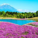 Mt. Fuji 5th, Oshino Hakkai, Onsen Full-Day Trip From Tokyo - Transportation and Comfort