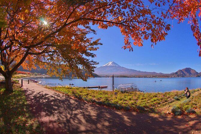 Mt. Fuji 5th Station Arakurayama Sengen Park, Oshino Hakkai Tour - Authentic Experiences and Authentic Settings