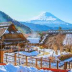 Mt. Fuji 6 Iconic Photo Spots Day Tour from Tokyo - What the Reviews Say