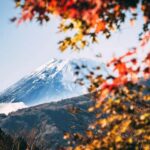Mt.Fuji 6 Must-See Spots: Oshino& Lake Kawaguchi From Tokyo - The Value of the Experience