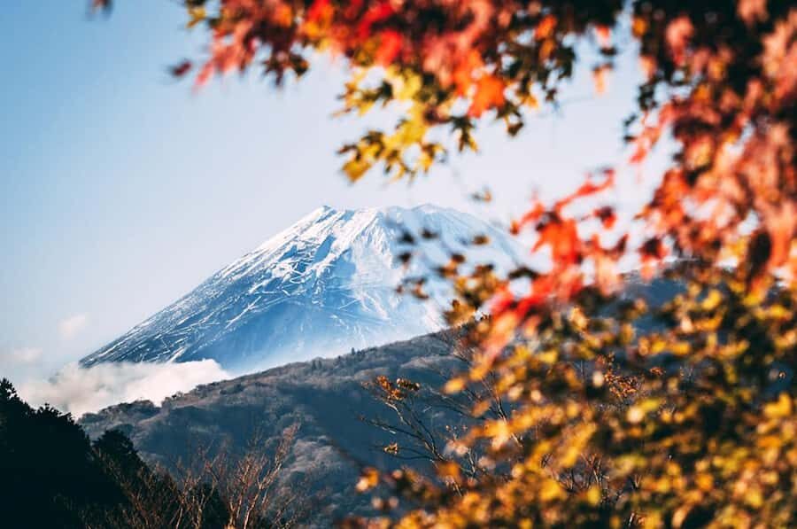 Mt.Fuji 6 Must-See Spots: Oshino& Lake Kawaguchi From Tokyo - The Value of the Experience