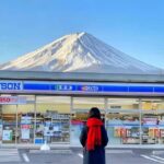 Mt. Fuji 6 Scenic Day Tour: Kawaguchiko & Lake Yamanaka - Analyzing the Value
