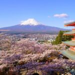 Mt. Fuji and Gotemba Outlet Private Day Trip From Tokyo - Downsides to Keep in Mind